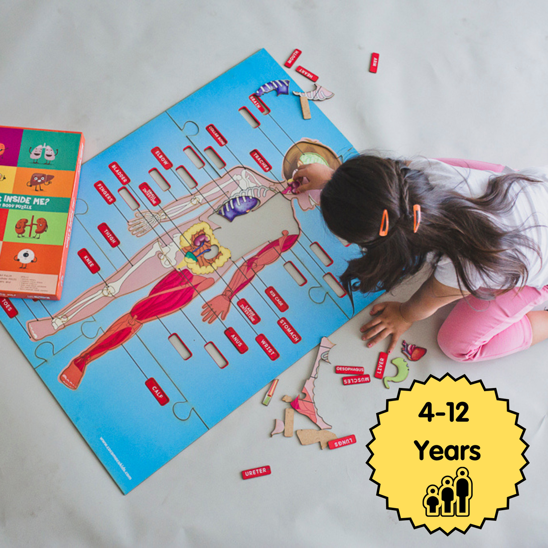 Human Body Floor Puzzle (Age 4-12)