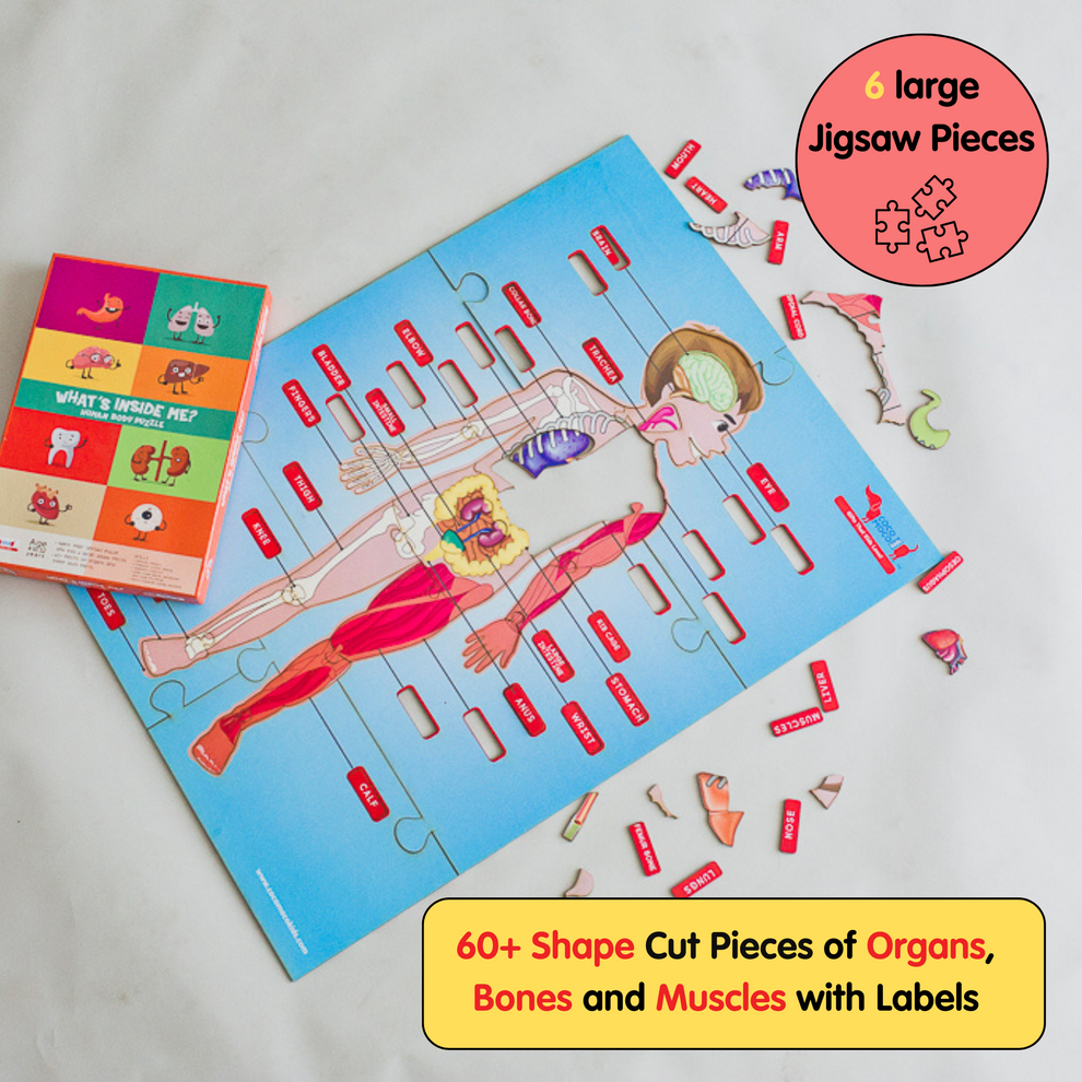 CocoMoco Kids Human Body Parts Puzzle For Kids, Wooden Jigsaw Puzzle