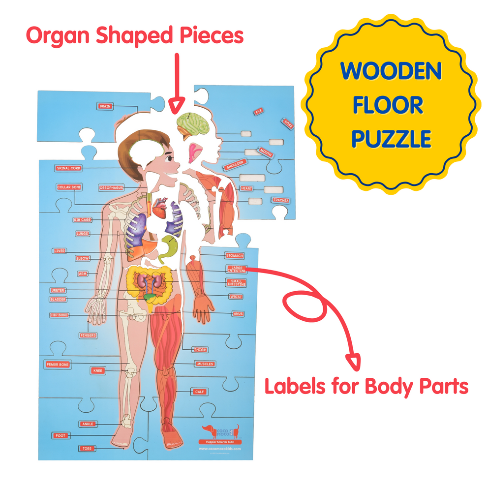 CocoMoco Kids Wooden Human Body Parts Puzzle – Ages 4–12