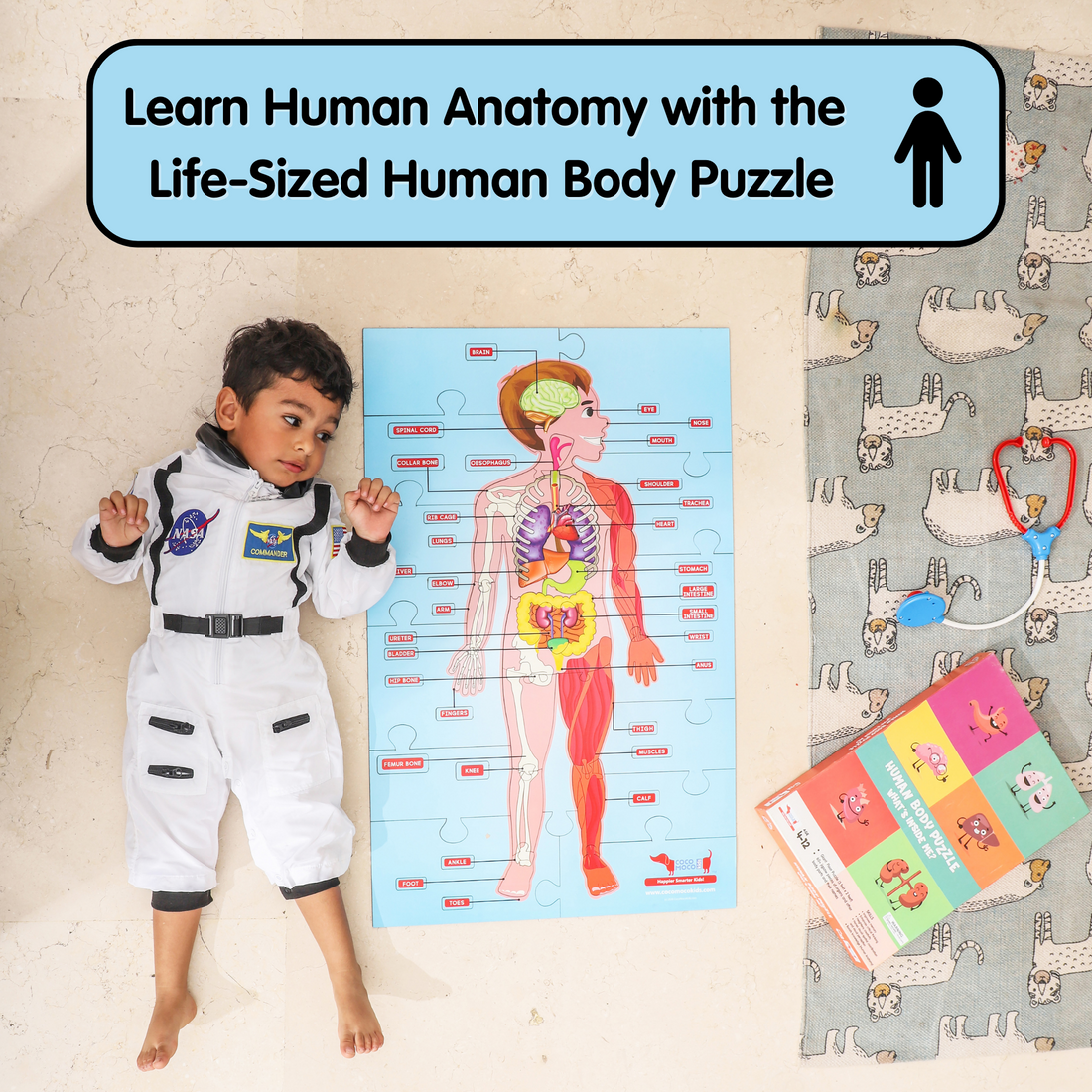 CocoMoco Kids Wooden Human Body Parts Puzzle – Ages 4–12
